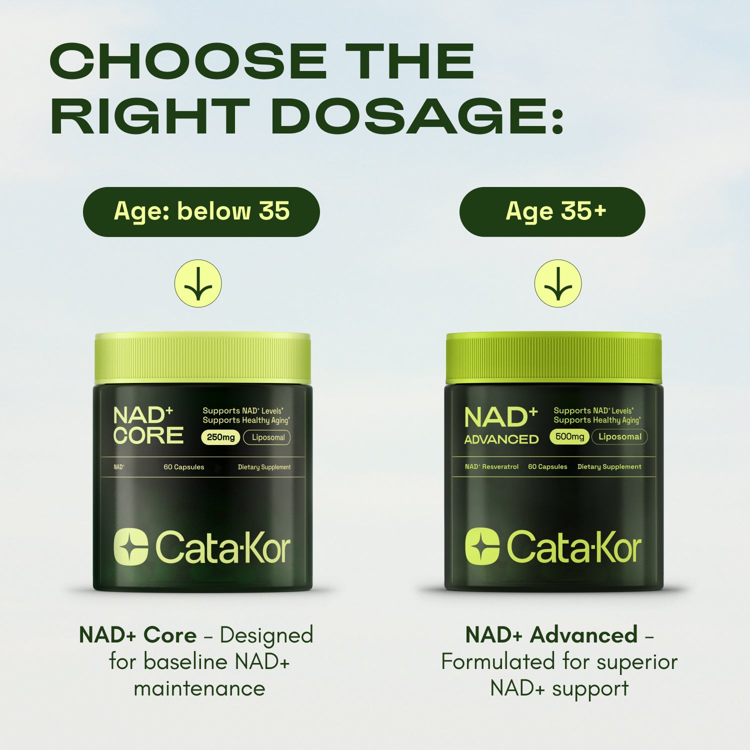 250mg Liposomal NAD+ Supplement - NMN Alternative – Cata-Kor